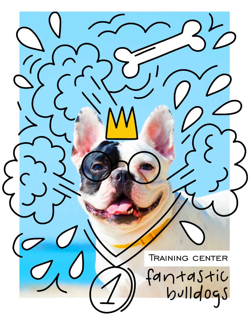 Sky Blue Dog Training Poster Design